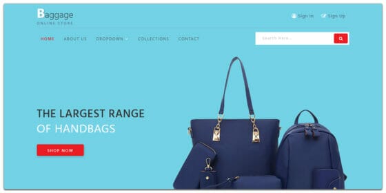 Free ECommerce Bootstrap Templates » CSS Author