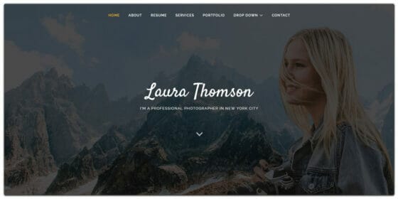 Free Bootstrap Portfolio Templates » CSS Author