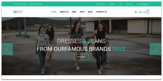 Free ECommerce Bootstrap Templates » CSS Author