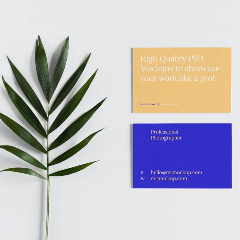Business Card With Leaf Mockup PSD