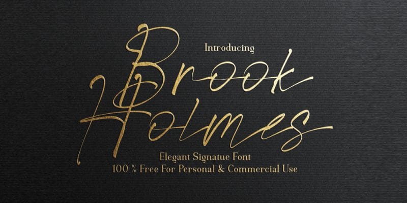 Discover The Best Free Ink Fonts: Handwritten, Calligraphy, And Script ...
