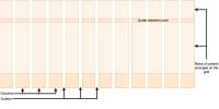 CSS Grid Tutorials For Beginners: Top Resources To Master Layouts