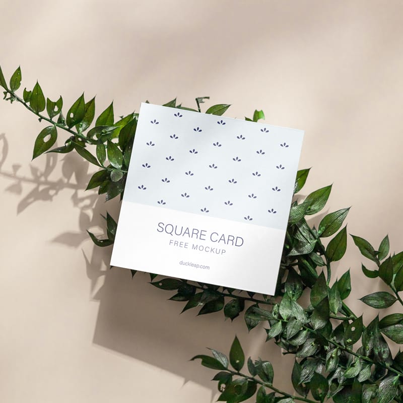 Free Square Card On A Plant Mockup PSD