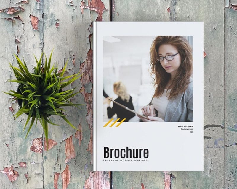 20+ InDesign Brochure Templates: Free & Pro Downloads