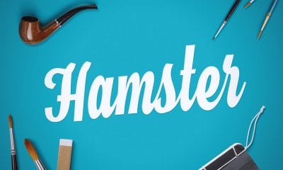 Best Free Thick Cursive Fonts For 2025 – Download Now!