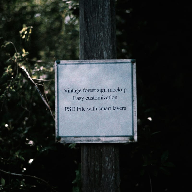 Free Sign In Forest Mockup PSD